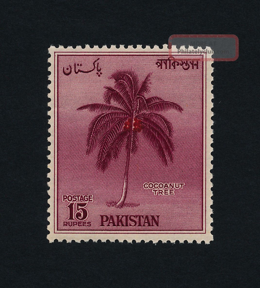 Pakistan 95 Coconut Tree